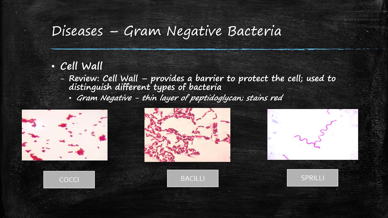 CIC Study Guide Series 3 Diseases