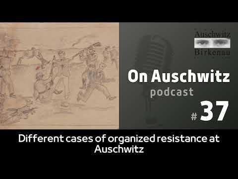 "On Auschwitz" (37): Different cases of organized resistance at Auschwitz