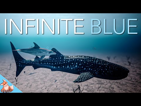 Steam Community :: Infinite Blue