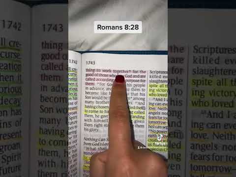 Romans 8:28