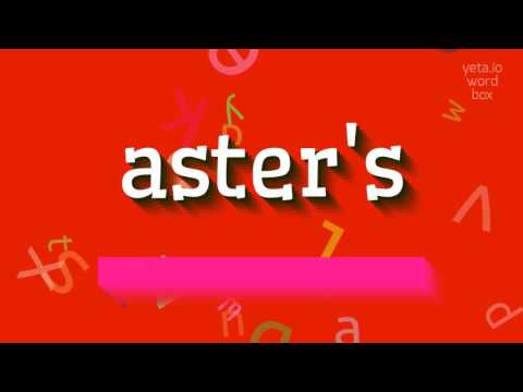 How to say "aster's"! (High Quality Voices)