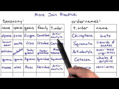 Learn More Join Practice Intro to Relational Databases - Mind Luster
