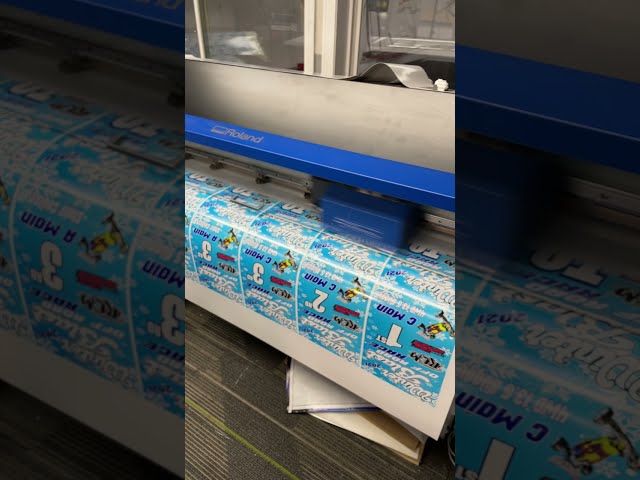 Label Sticker - Self Adhesive Vinyl Roll Manufacturer from Noida