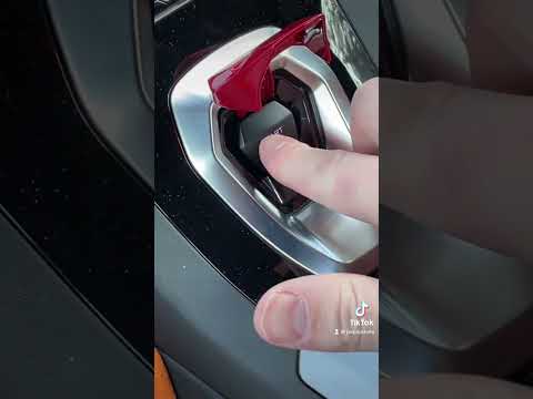 Papa Needs Answers! #papajake #car #lamborghini