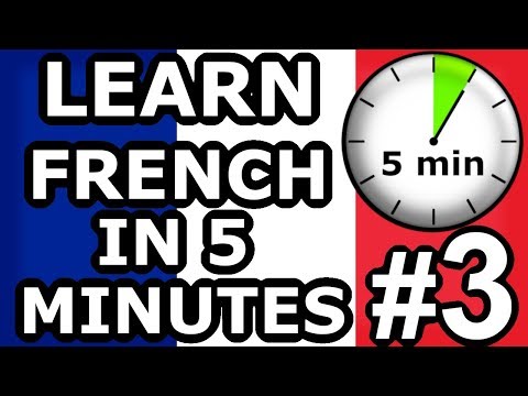 Learn French In 5 Minutes - Simple Sentences