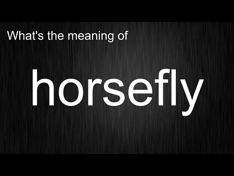 Demystifying "horsefly" - Master English Pronunciation and Usage