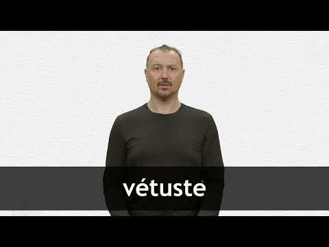 English Translation of “VÉTUSTE” | Collins French-English Dictionary