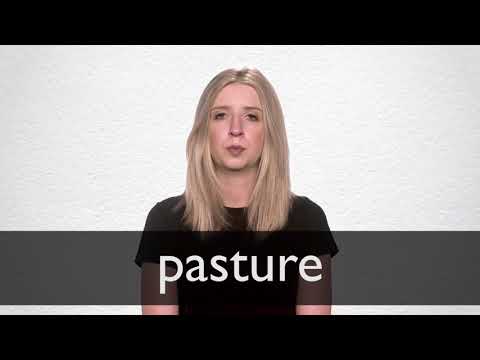 How to pronounce PASTURE in British English