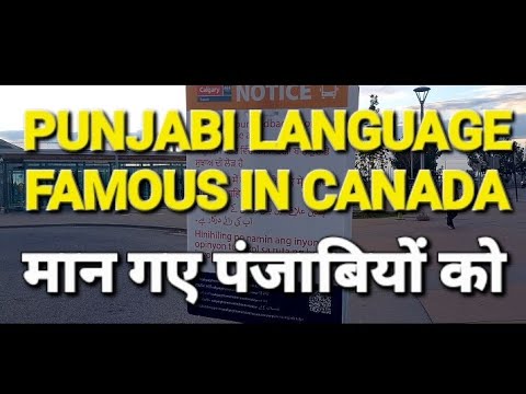 PUNJABI LANGUAGE IS SO COMMON NOW IN CANADA | ALBERTA #punjabiincanada #indiansincanada #myvlogs