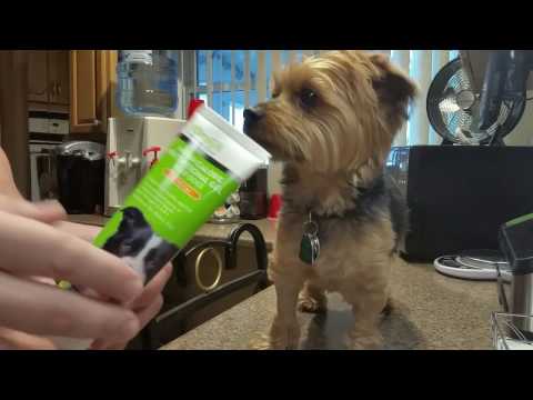 Dog vitamins and minerals supplement for a balanced diet tomlyn nutri-cal