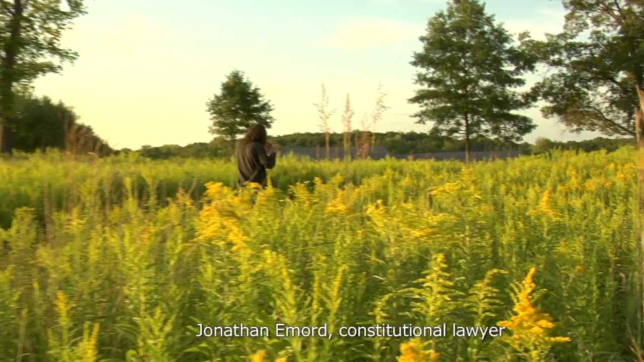 The Healing Revolution trailer 2013