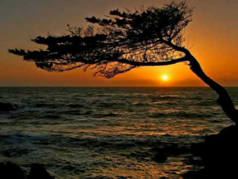 The Reason for Chastisement - John MacDuff
