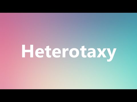 Heterotaxy - Medical Meaning and Pronunciation