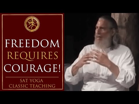 Freedom Requires Courage – Universal Dynamics