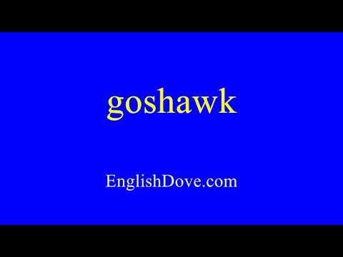How to pronounce goshawk in American English
