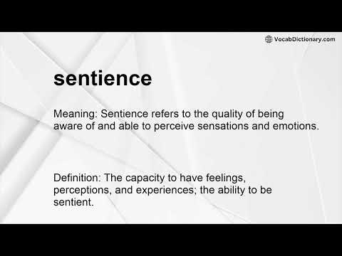 sentience Meaning