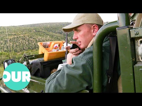 Can British Vet Students Handle Wild Elephants? | Safari Vet School E8 | Our Stories