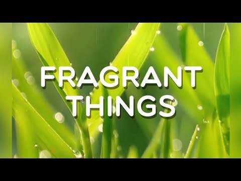 Fragrant things, Level 158, Word Crush Answers, 4k.