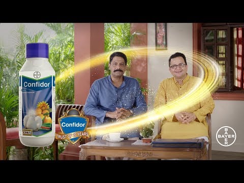 Bayer Confidor 30sec (Hindi)