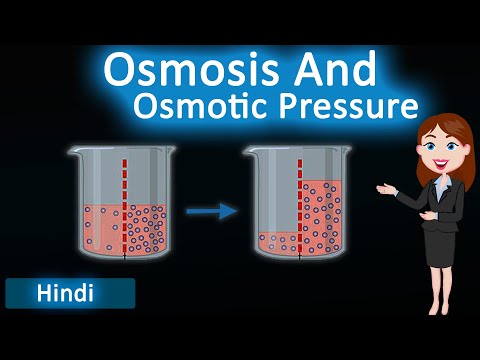 Osmosis and Osmotic Pressure || 3D Animated Explanation || class 12th chemistry || Solutions ||