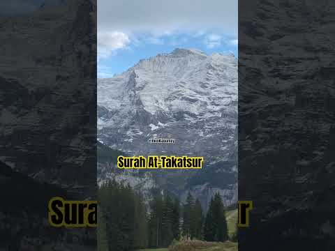 Surah At-Takatsur #viral #trending #shorts #short #youtubeshorts #youtube #shortvideo #viralvideo