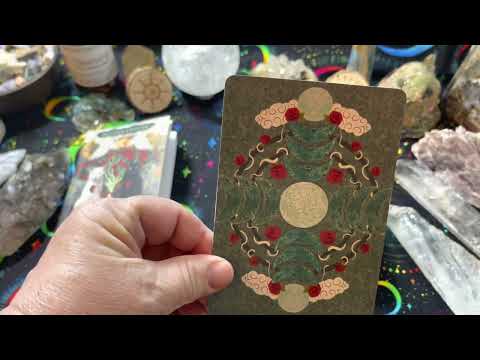 2023 New Grimalkins Curious Cats Tarot by MJ Cullinane Deck Flip Through #tarot #tarotcards