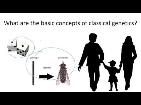 Basic Genetics Terms and Concepts