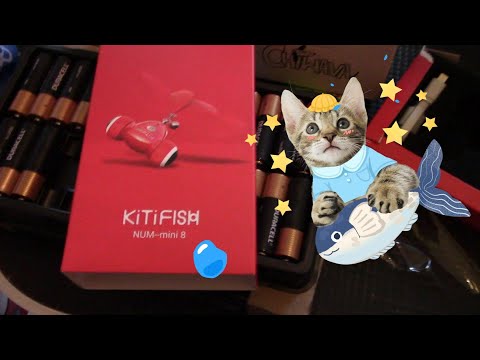 KitiFish Cat Toy Review! 😻