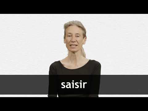 English Translation of “SAISIR” | Collins French-English Dictionary