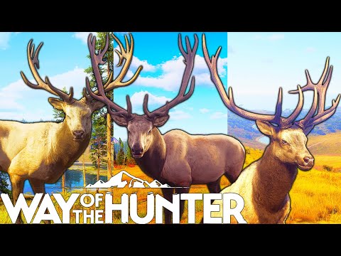 Three Maps Three Five Star Elk | Way of the Hunter