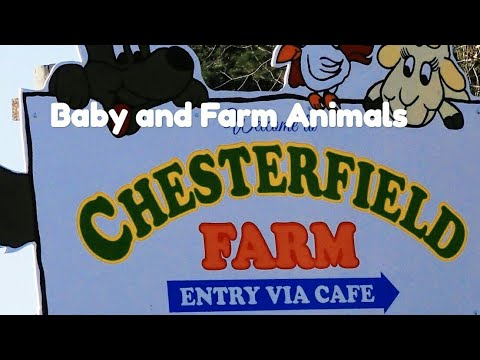 Baby and Farm Animals Part 2 | Chesterfield Children's Farm, Melbourne, Australia