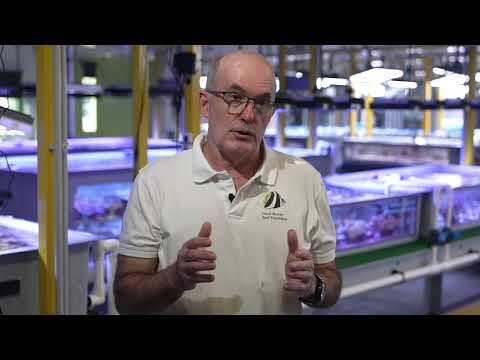 Great Barrier Reef Foundation Chief Scientist: We can save our Reef