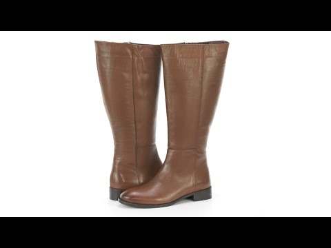 Women's Spring Step Hightail | Zappos.com