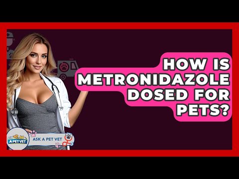 How Is Metronidazole Dosed For Pets? - Ask A Pet Vet