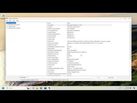 How to Open and View System Information Panel in Windows 11 [Guide]