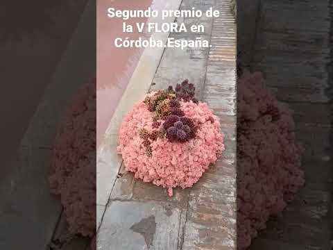 SEGUNDO PREMIO DE LA V EDICIÓN DE FLORA EN CÓRDOBA 2022. España.