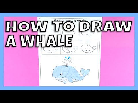 How to Draw a Whale Step by Step Drawing Instructions for Kids