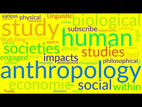 Everything You Need to Know About Anthropologist