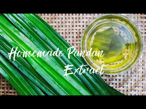 Make Your Own Pandan or Screwpine Extract / Paste | Sound ON