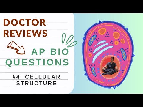 Doctor reviews AP Biology questions on cell structure