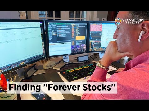 This Pandemic Won't Last Forever, But These Stocks Will | Alan Gula