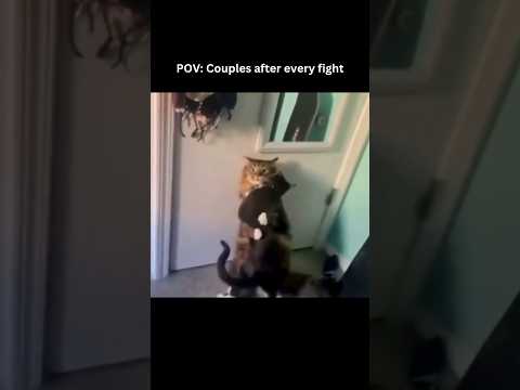 If you laugh, you restart pt 1162 | #memes