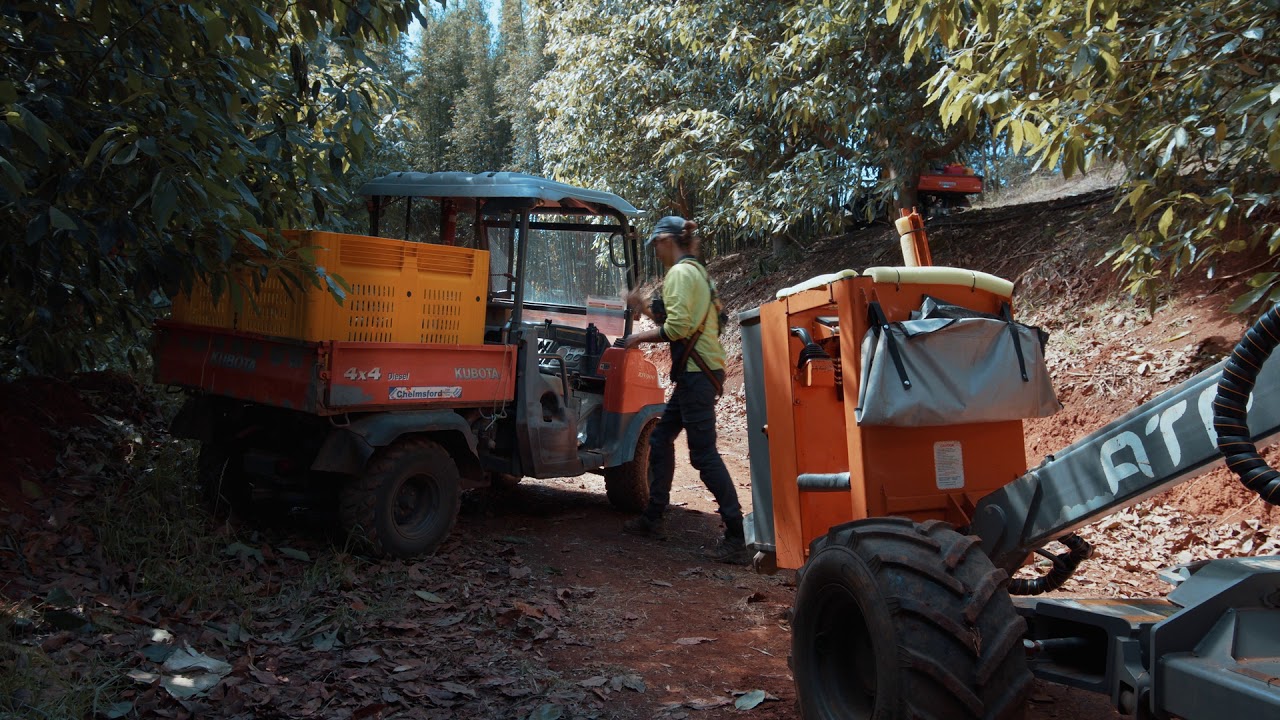 How to safely use an elevated work platform when harvesting