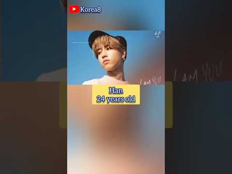 STRAY KIDS MEMBERS' AGES IN 2024