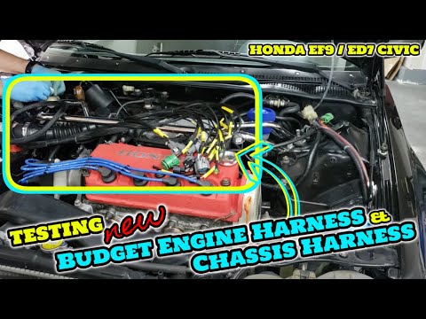 ||HONDA EF9/ED7 CIVIC & CRX|| Testing the New Budget Engine Harness & Chassis Harness - IT WORKS!ππ»