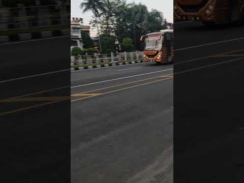 This is OM Travels bus entering Siliguri from Muzaffarpur (Bihar)