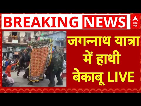 Jagannath Yatra Updates Live: अहमदाबाद में जगन्नाथ रथयात्रा के दौरान हाथी बेकाबू हुए | ABP News