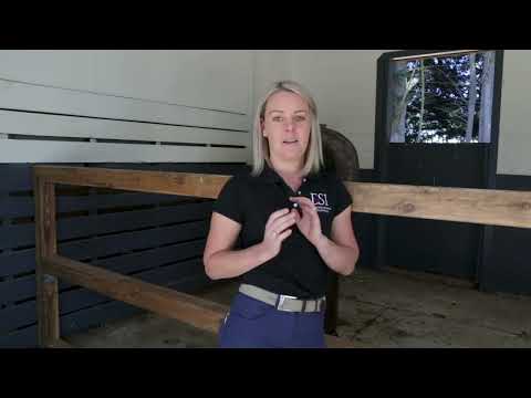 10872NAT Diploma of Equitation Science: Frequently Asked Questions