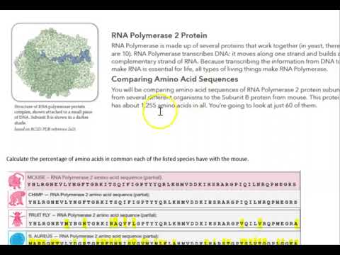 Molecular homology