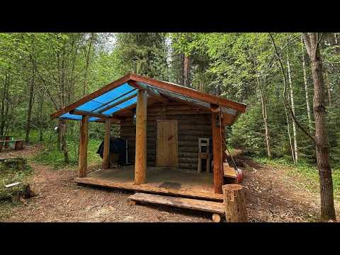 1 Year of living and building a log cabin in the wild forest